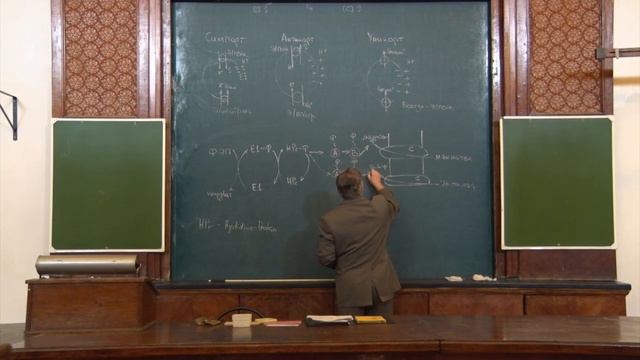 Нетрусов А. И. - Микробиология I - Свойства микроорганизмов
