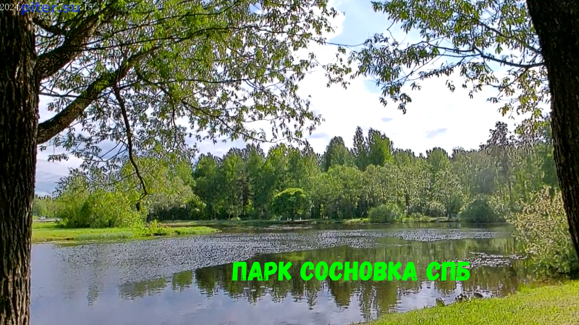 парк Сосновка в Санкт Петербурге ｜ Выборгский район СПб #сосновка #выборгскийрайон piter.su