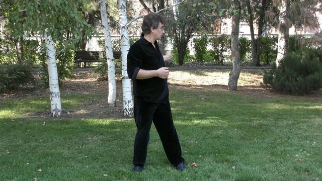 07 Таолу стиля Орлан и барс удары руками средней дистанции