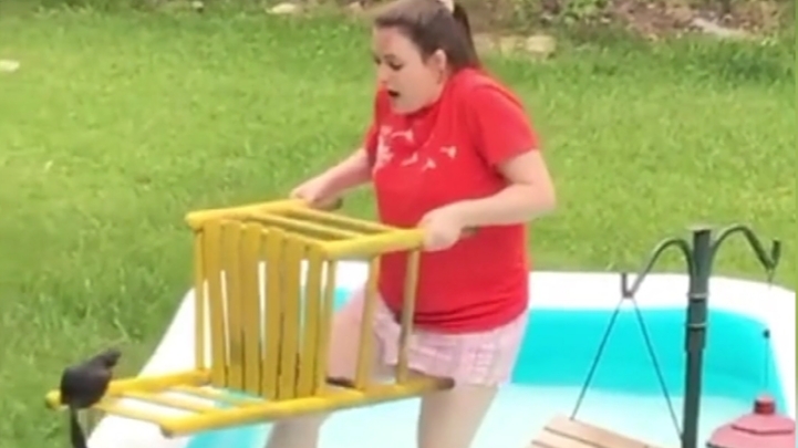 Приколы, лучше ?