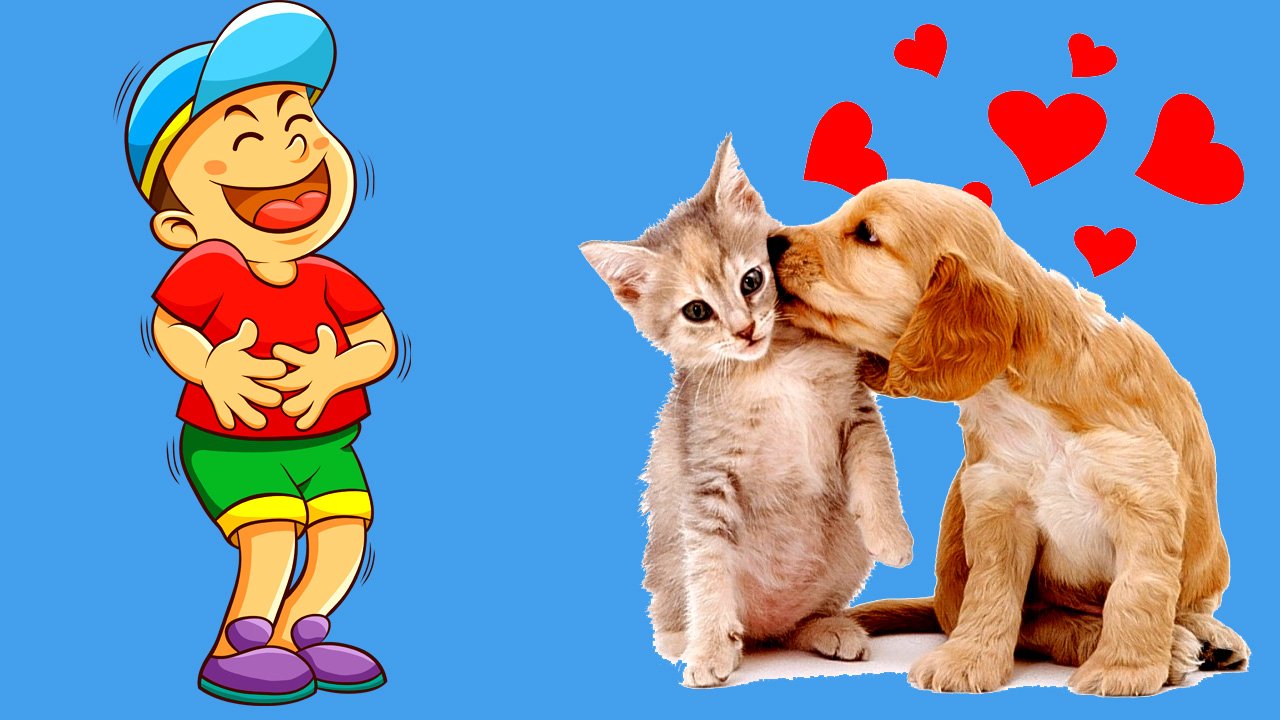 МИЛЫЕ, ЗАБАВНЫЕ ЖИВОТНЫЕ