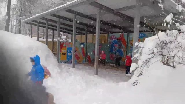 Прогулка 8 февраля