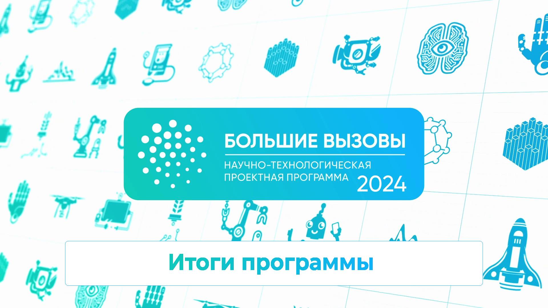 Итоги программы