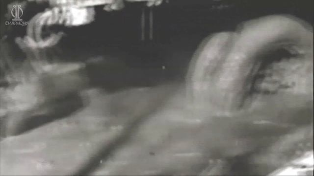 «Песенка фронтового шофера», солист — Максим Маклаков, июнь 2018