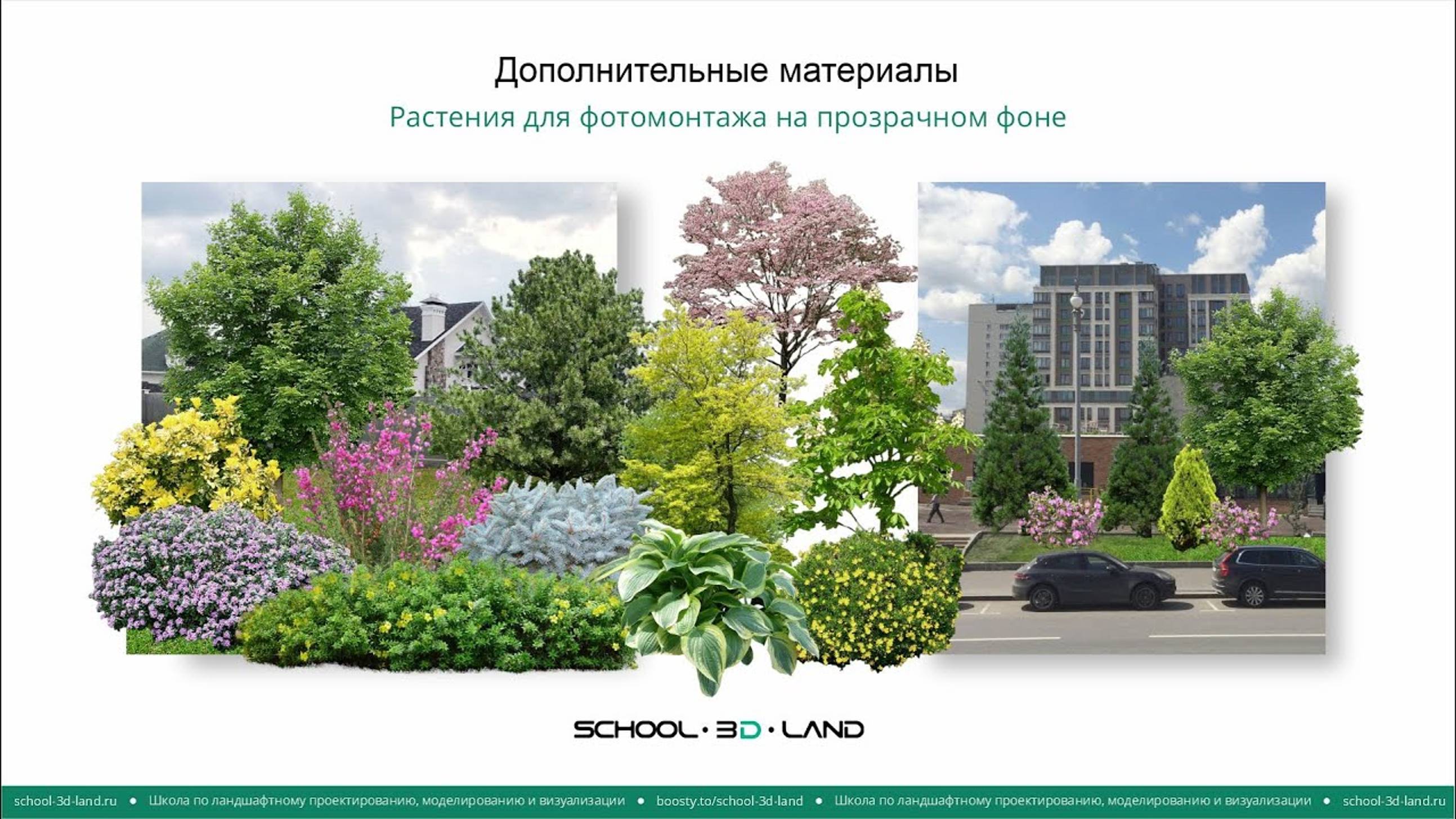 CD18. Растения для фотомонтажа на прозрачном фоне. Часть 2