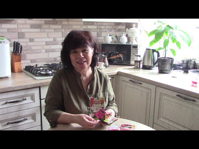 Ипомея от посева до цветения. Часть 1.