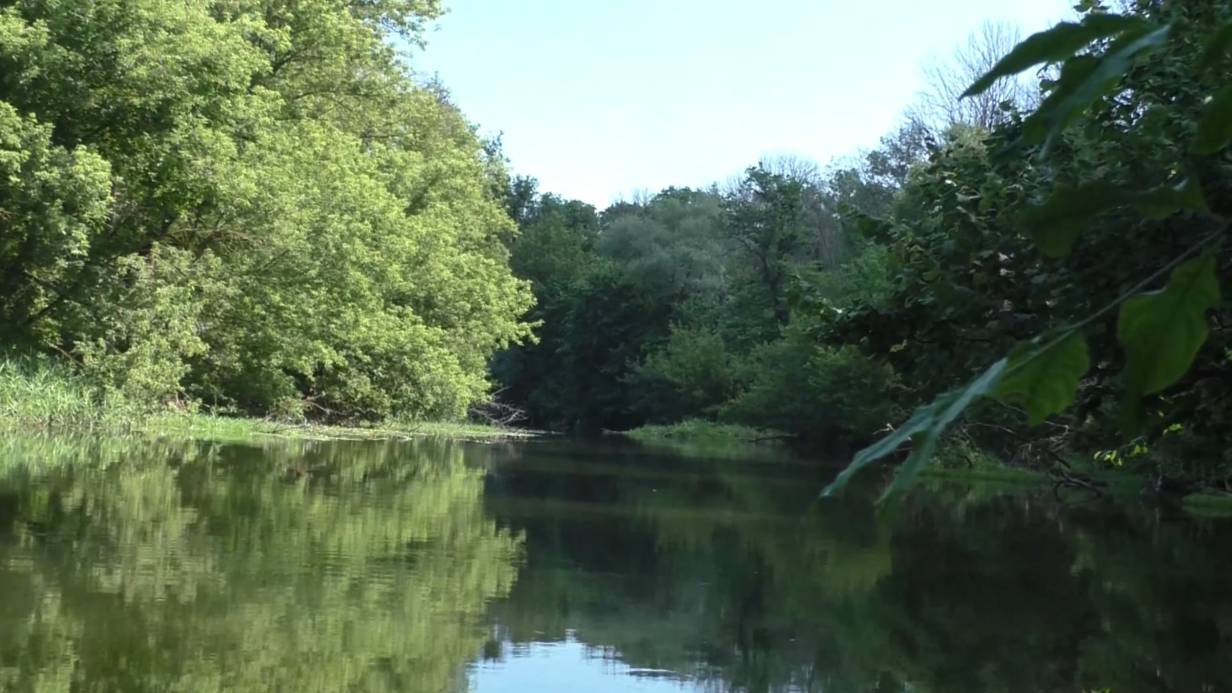 Ловля КАРАСЯ и КАРПА НА ДОНКУ в АВГУСТЕ.