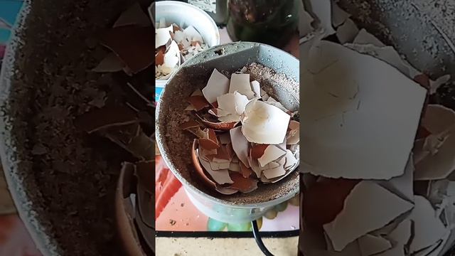 Удобрение для цветов