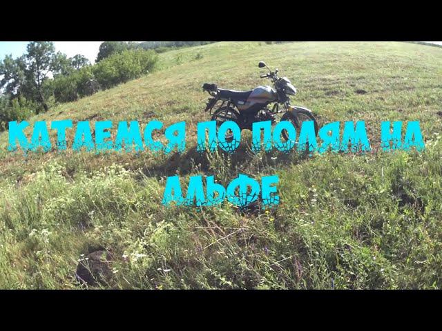 Катаемся по полям на альфе