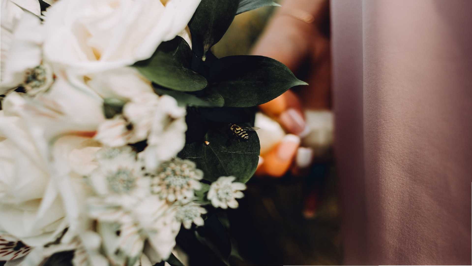 Где сегодня познакомиться для серьезных отношений