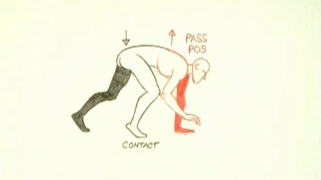 7. Sneaks, Runs, and Animal Action