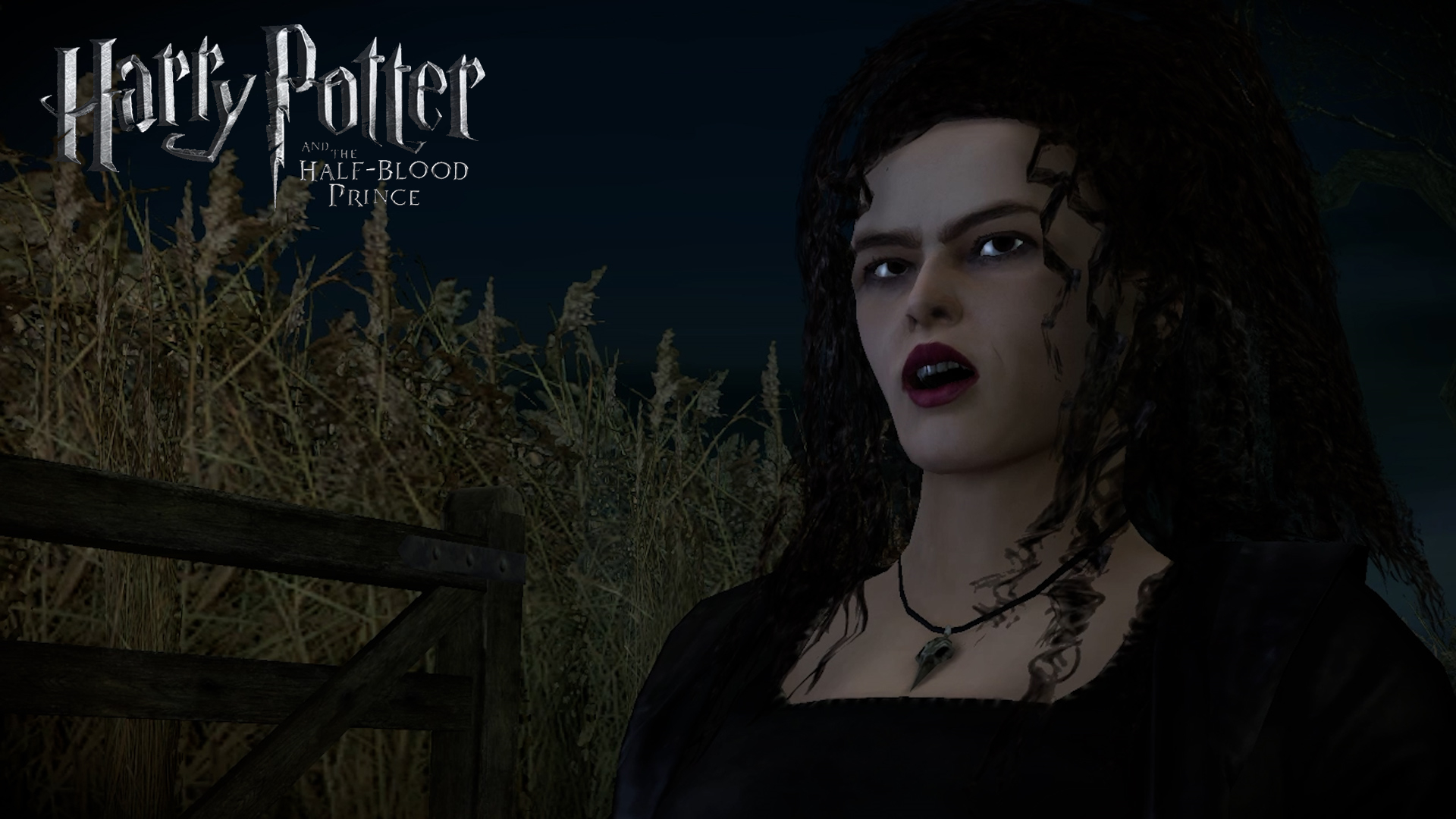 Подарок на рождество (молчаливое прохождение) - Harry Potter and the Half-Blood Prince #2