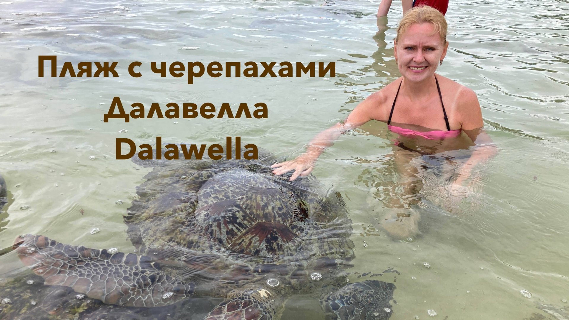 Шри-Ланка. Пляж с черепахами Далавелла. В 2км от Унаватуны можно поплавать с черепахами. Dalawella.