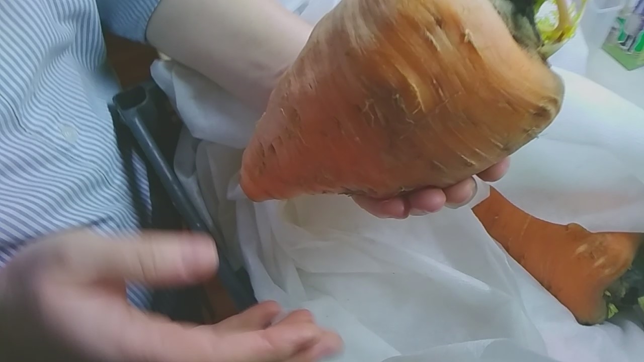 Сидит девица в темнице... каротин накапливает. Часть 2. Тонкости подготовки земли к посадке