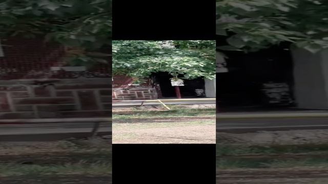 Ура-а-а Каникулы ??