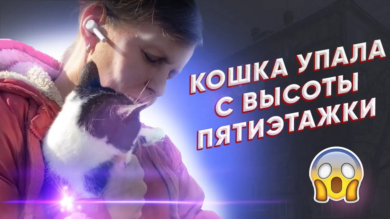 VLOG_ Кошка упала с высоты 18+ __ ЧМТ