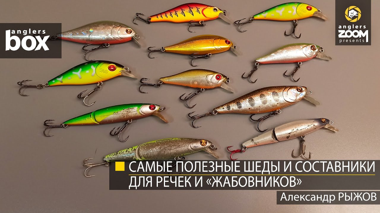 Самые полезные шеды и составники для речек и «жабовников». Александр Рыжов