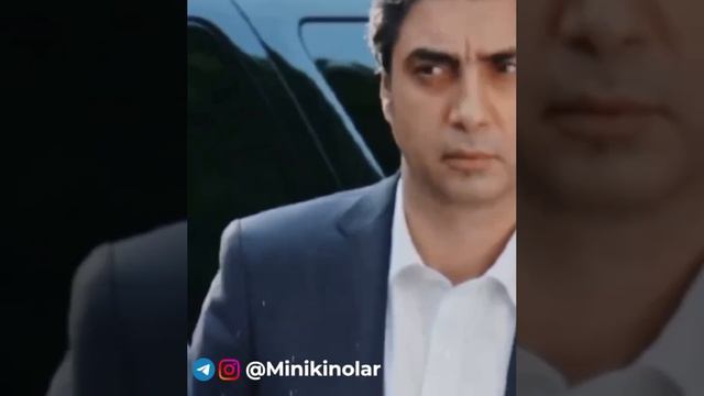 Polat alemdar