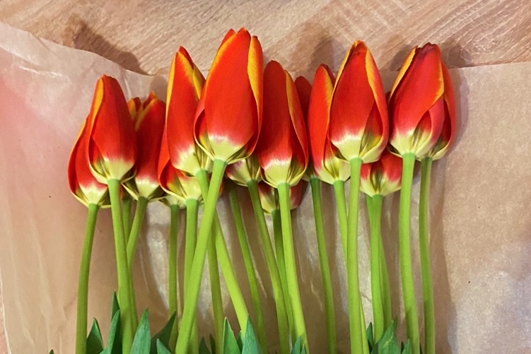 Как мы продавали 300 тюльпанов