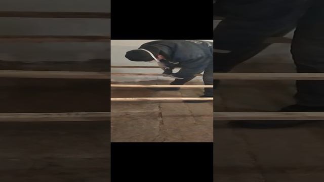 Подготовка курятника к молодым курочкам.