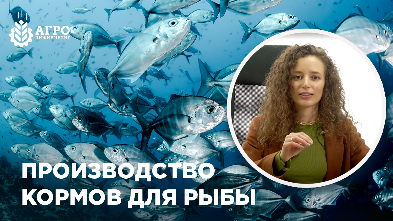 Технология производства кормов для рыбы.