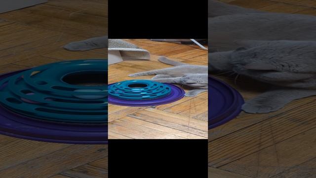 Поиграл немного... ?