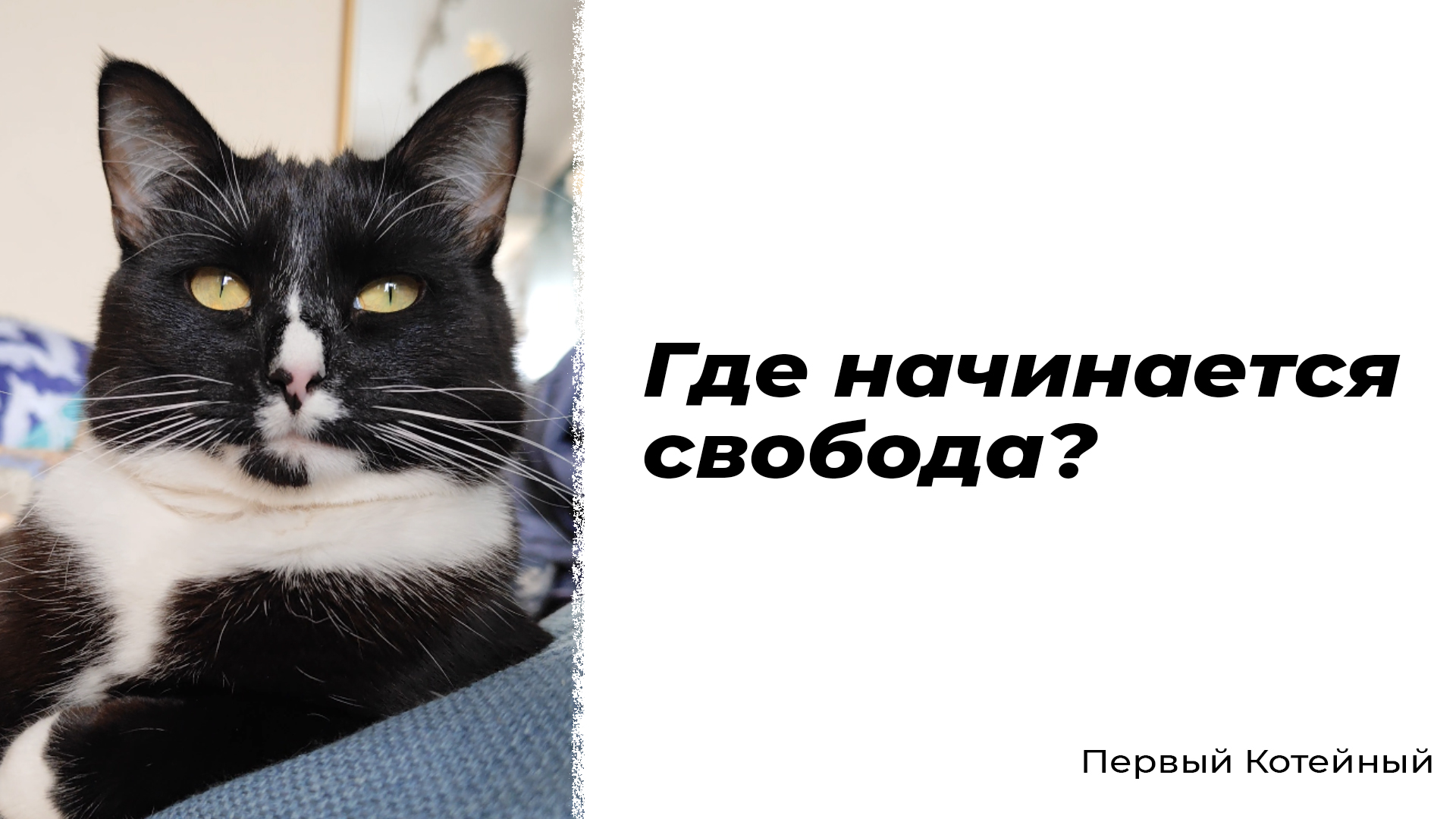 Где начинается свобода? ?