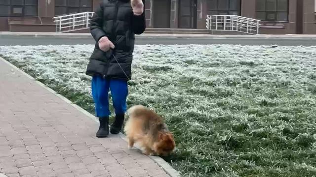 ЭЛЛИ С ТОТОШКОЙ СУЩЕСТВУЮТ