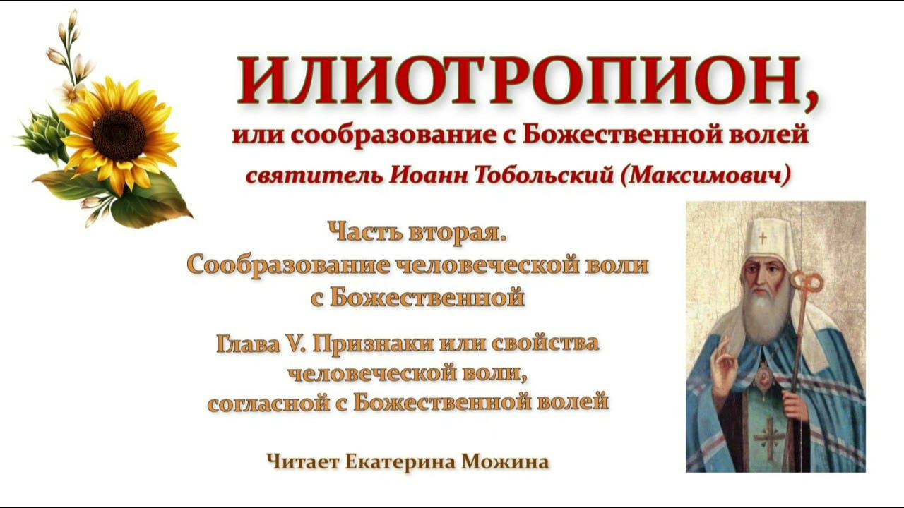 11. Илиотропион. ЧАСТЬ II, ГЛАВА V.