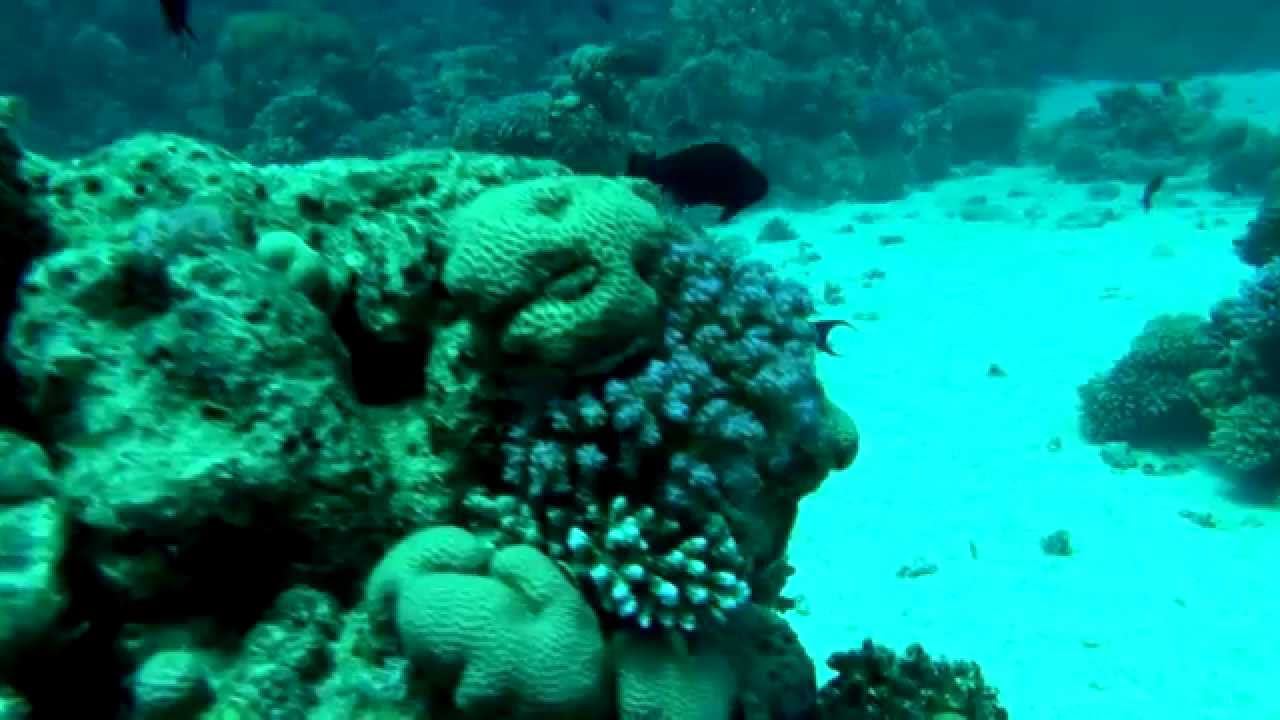 Gotta Abu Ramada, Red Sea, Hurghada