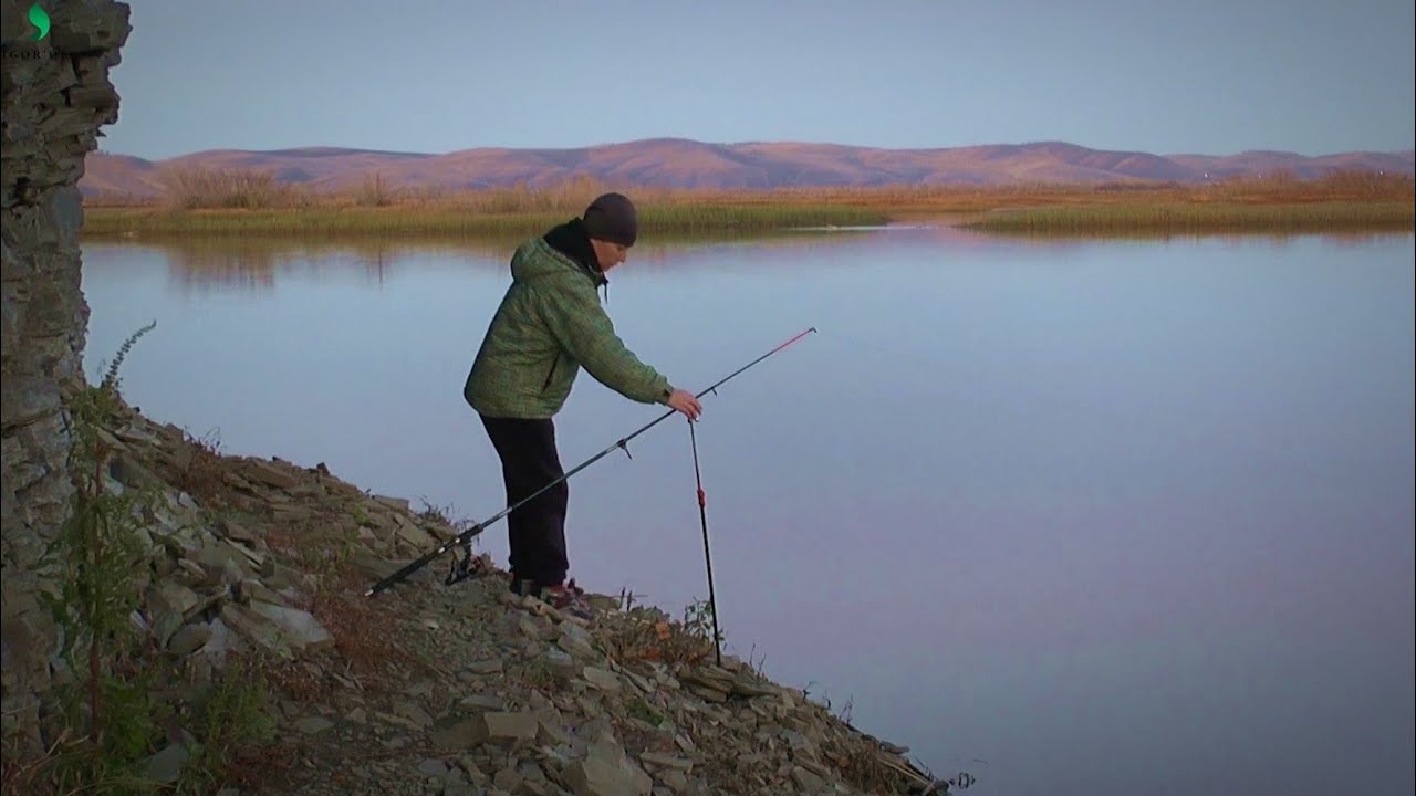 Налим | Ловля Налима | Октябрь