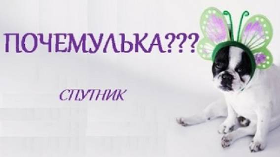 ПОЧЕМУЛЬКА? КОСМОС. СПУТНИК.