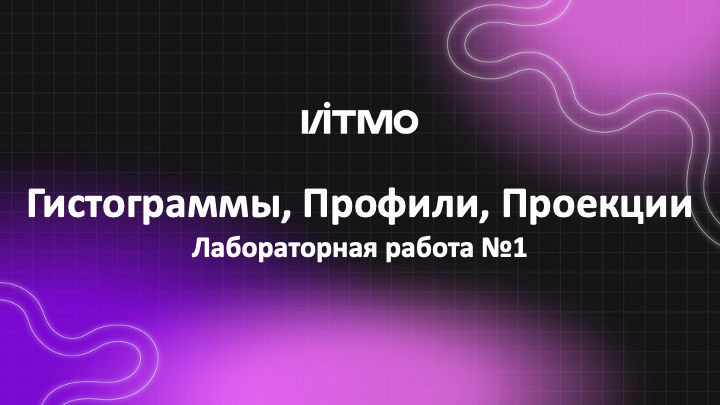 Лабораторная работа №1