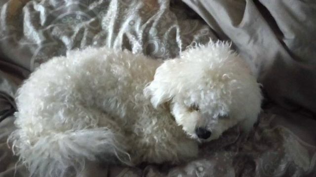 моя малышка