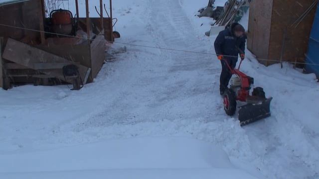 Борьба с зайцами и уборка снега отвалом ОНП-1 и выводы. МТЗ с двигателем Weima WM188F 13л_с.