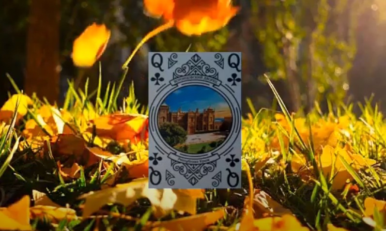 ♣Д КРАСАВИЦА： значение карты и ответ на ВАШ вопрос