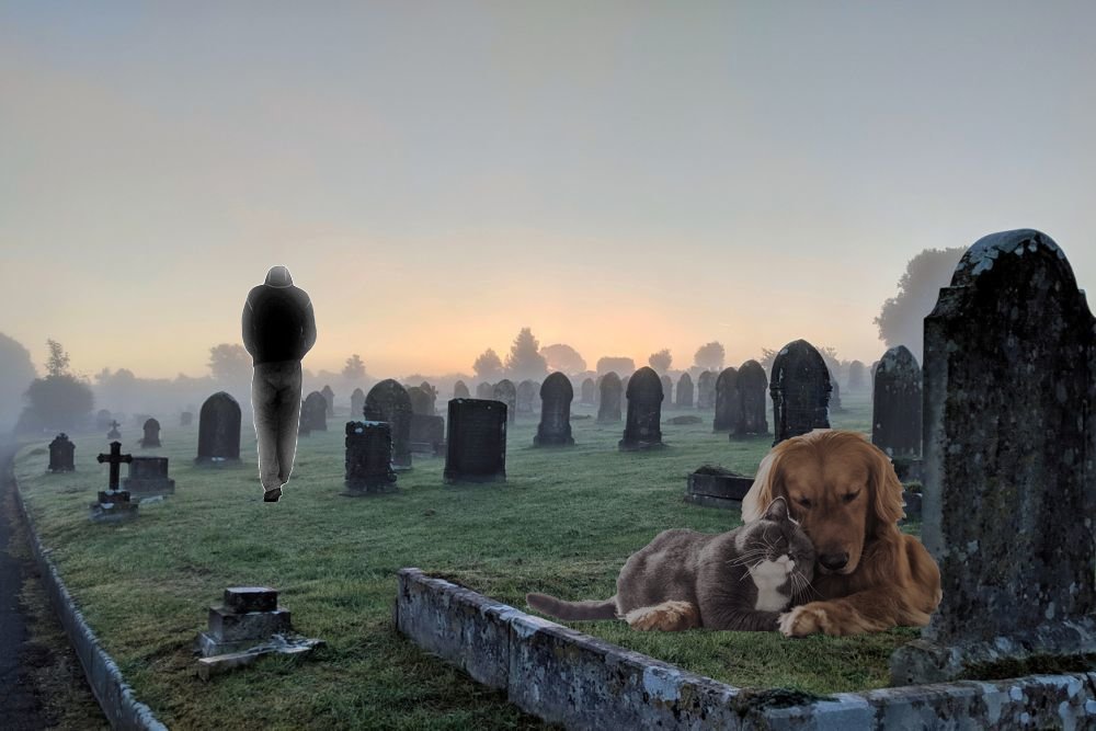 COVID безжалостно перечеркнул их планы на долгожданное счастье.mp4