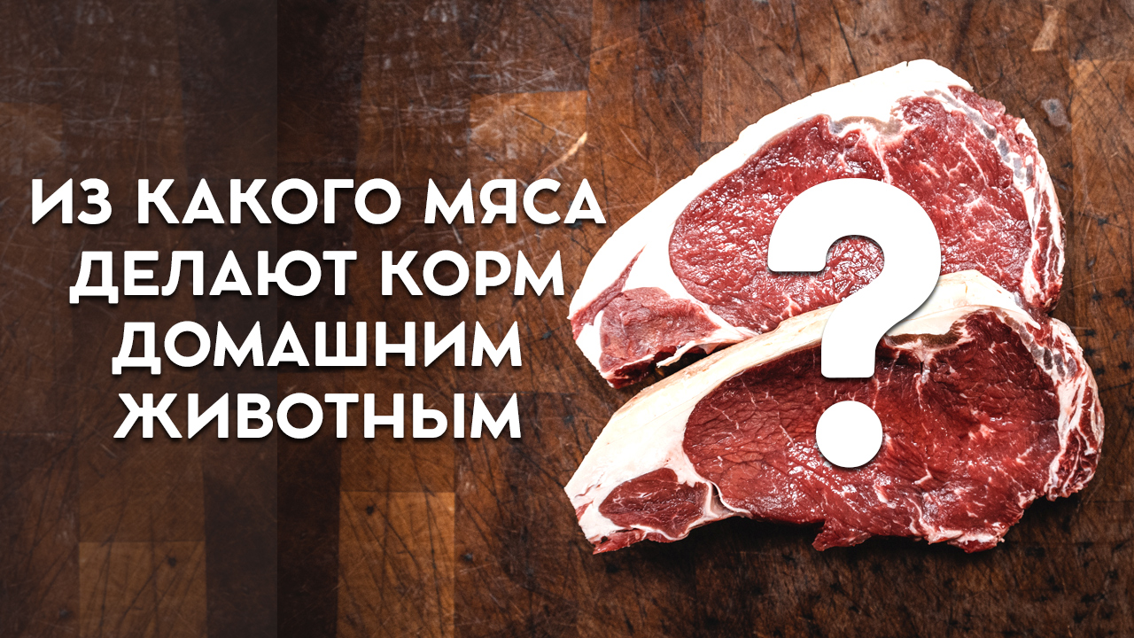 Из чего делают корма для домашних животных. Дегидрированное мясо.
