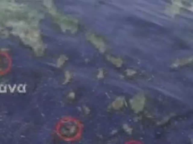 'Великие тайны мира. Великие тайны Санторини. Затерянная Атлантида