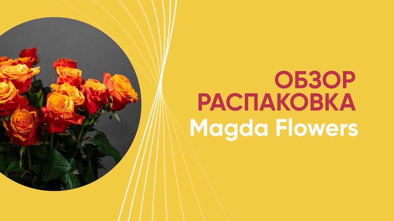 Обзор-распаковка розы | Плантация Magda Flowers | Explorer, Candlelight, Mondial