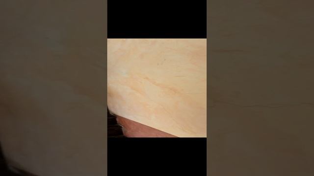 Кафе Зингер  Книжный магазин Спб Питер