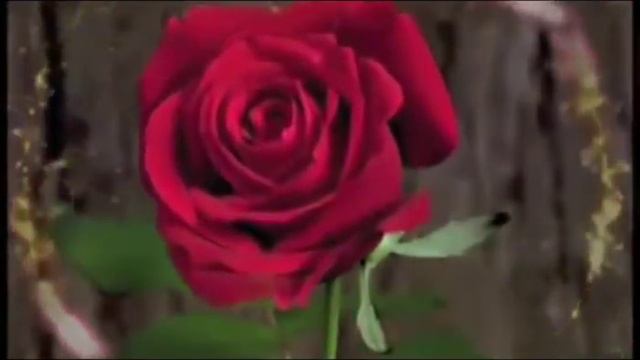 Чекалин Сергей - Musical masterpiece.-(480p)