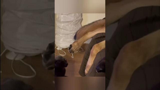 Подборочка видео-приколов (vol.4)