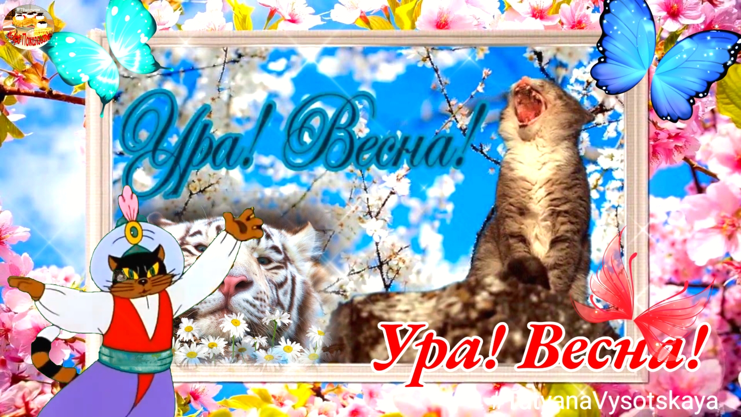 Ура Весна!! Яркой весны Вам! Красивое музыкальное поздравление.