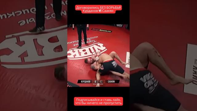 Договорились БЕЗ БОРЬБЫ! Курданов VS Саакян #fight #mma #popmma #reels #ufc #ufc4