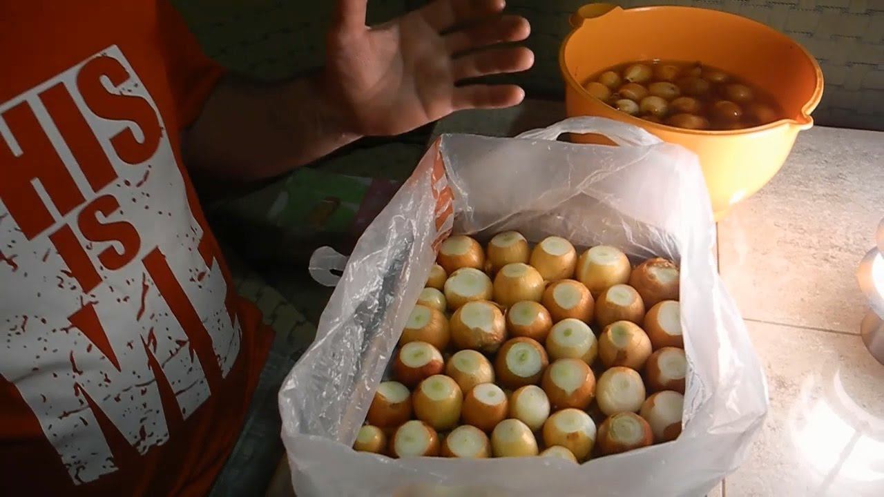 Выращиваем молодую зелень в домашних условиях