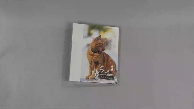 Фотоальбом 200 фото 10х15 Кошки-4 Platinum  23714_ryzhij