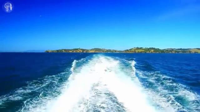 Как стать творцом и не быть жертвой  | Джо Диспенза