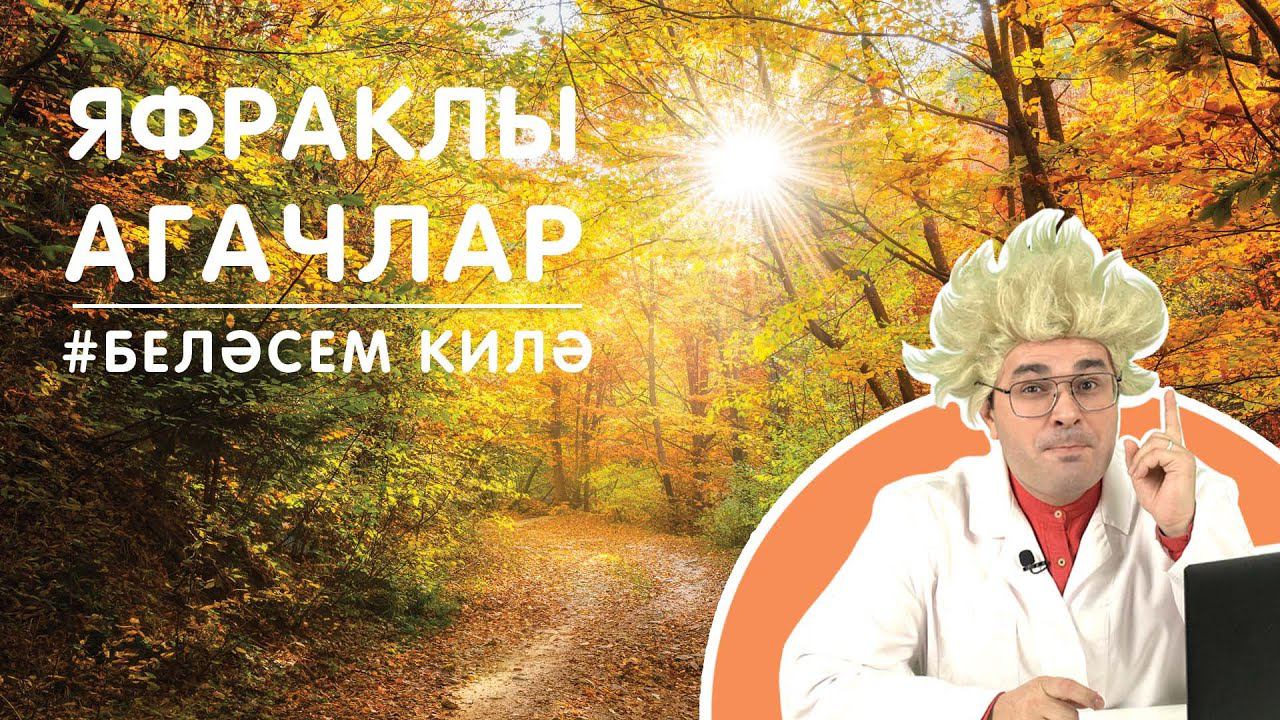 Беләсем килә: Яфраклы агачлар / Лиственные деревья / Deciduous trees