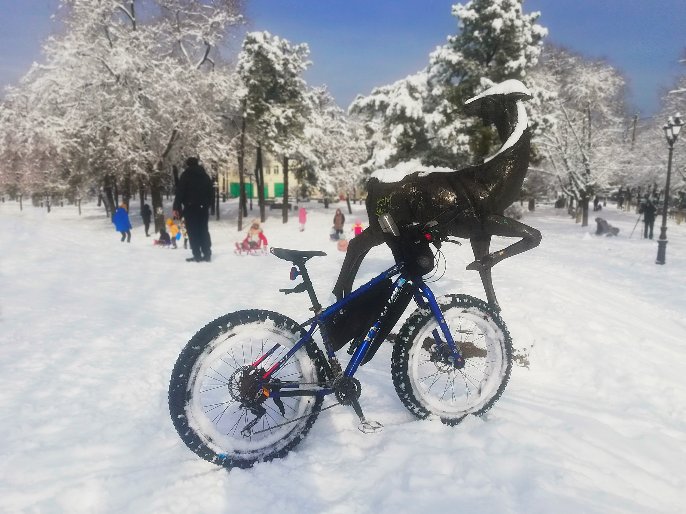 Зимняя зарисовка